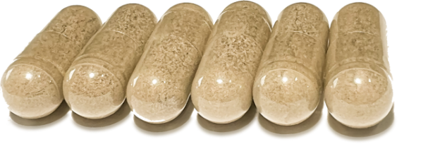 X — The Ultimate Brain Performance Enhancer