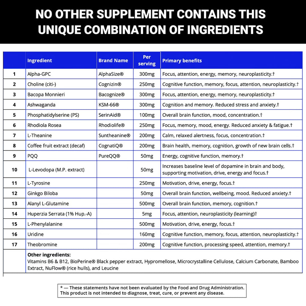 X - The Ultimate Brain Performance Enhancer